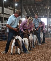 Miami County Fair 2025 | Troy, OH