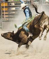 Prince William County Fair 2025 | Manassas, VA