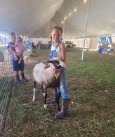 Wayne County Fair 2025 | Palmyra, NY