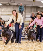 Ingham County Fair 2025 | Mason, MI