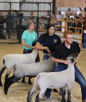 Ogemaw County Fair 2025 | West Branch, MI